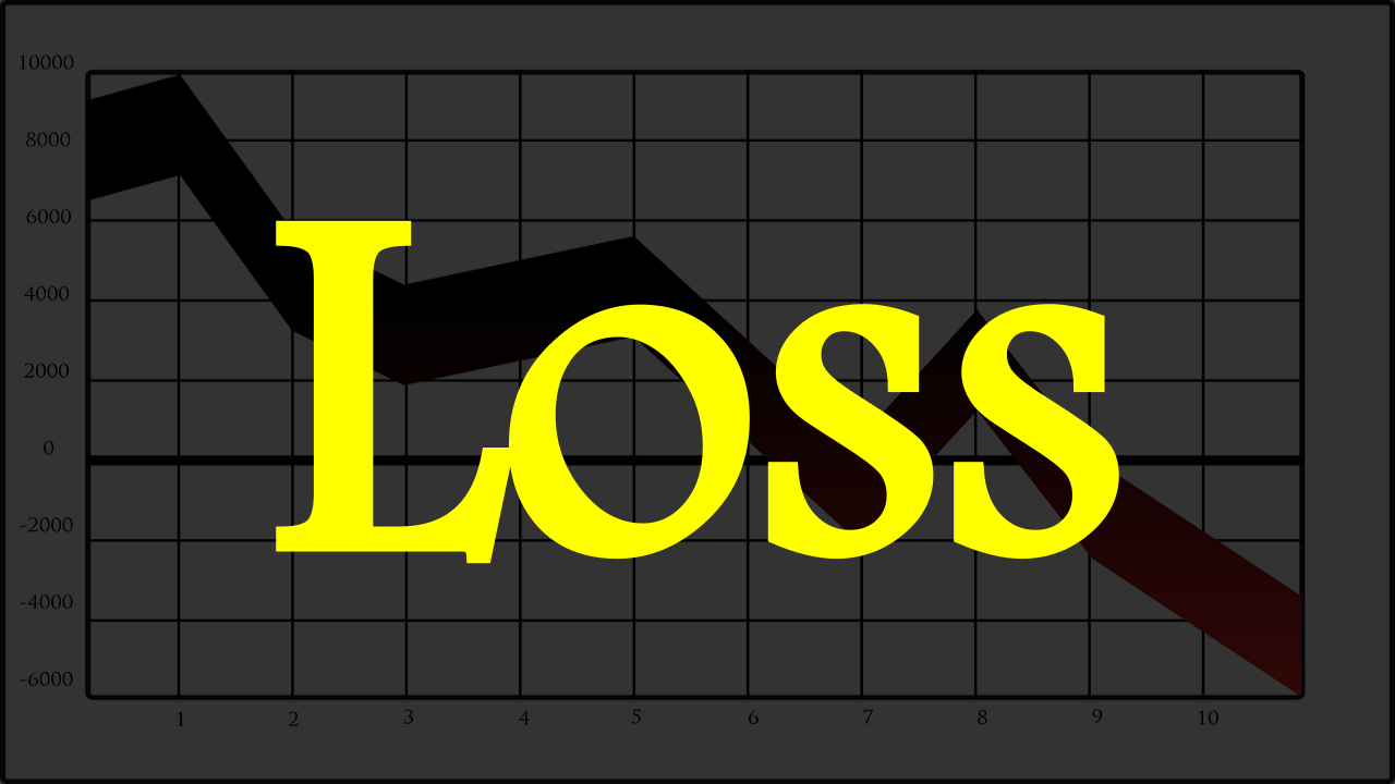 What is Loss? Meaning, Features, and More.