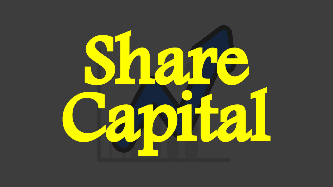 What is a Capital Account? Meaning, Features, and More.
