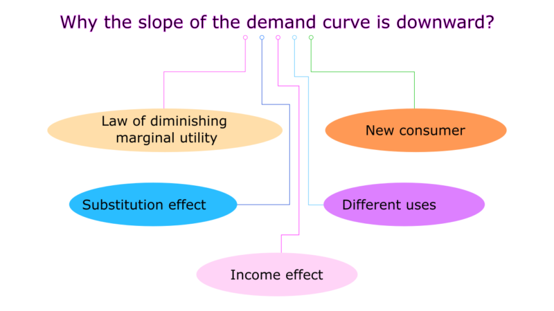 What is Law of Demand? Assumptions and why the slope of the demand ...